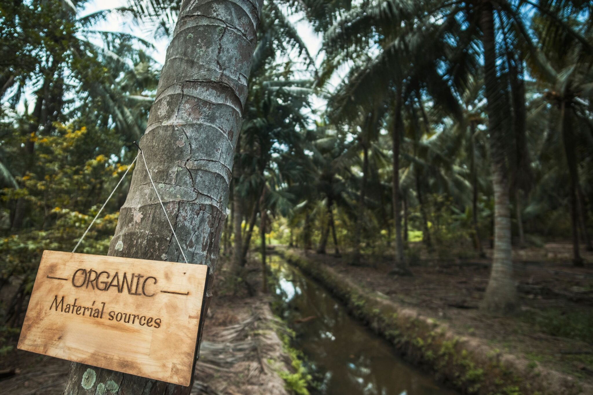 COCOXIM - Proudly presented in +45 countries