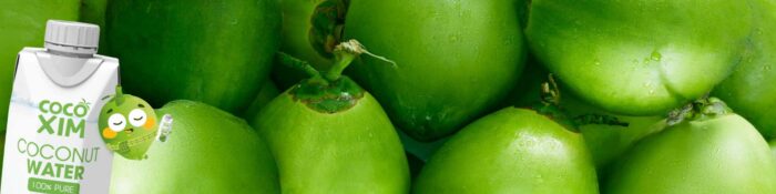 100% Pure Coconut Water - 100% coconut - Cocoxim Denmark